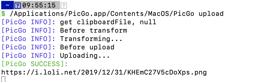 命令行调用不会输出结果 · Issue #375 · Molunerfinn/PicGo · GitHub