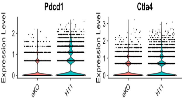 SCTransform v2 visualisation and DE analysis · Issue #6968 · satijalab/seurat · GitHub