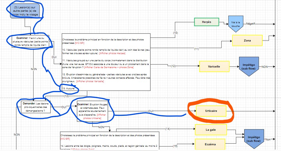Lésion(s) sur autre(s) partie(s) du corps y inclus visage · Issue #129 · SwissTPH/cdss_tchad ...