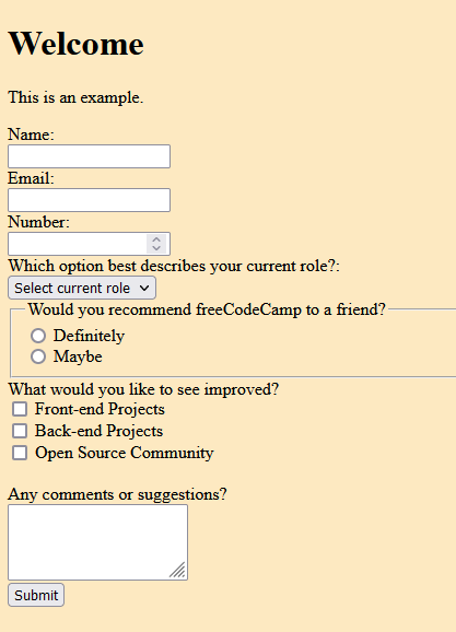 GitHub - Umudvarr/Survey-Form