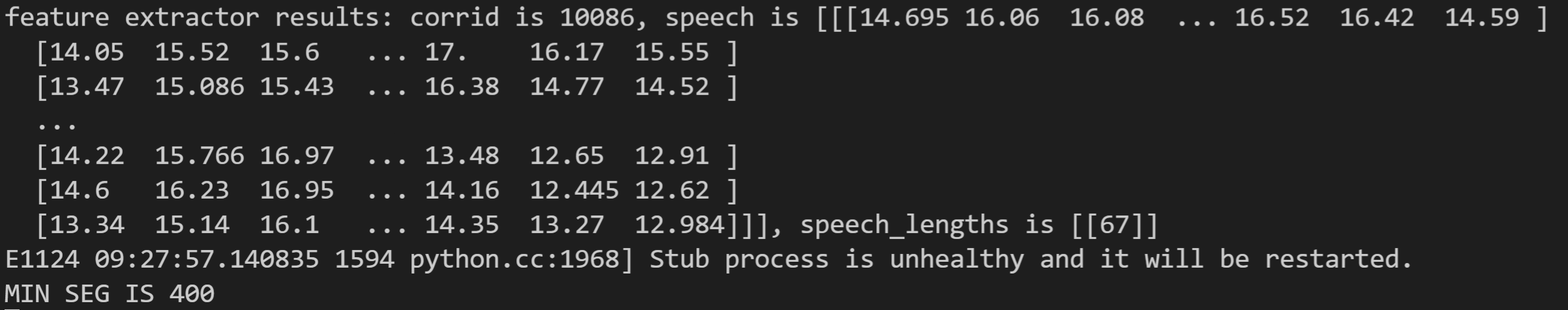 Failed to process the request(s) for model instance 'feature_extractor_0_0', message: Stub ...