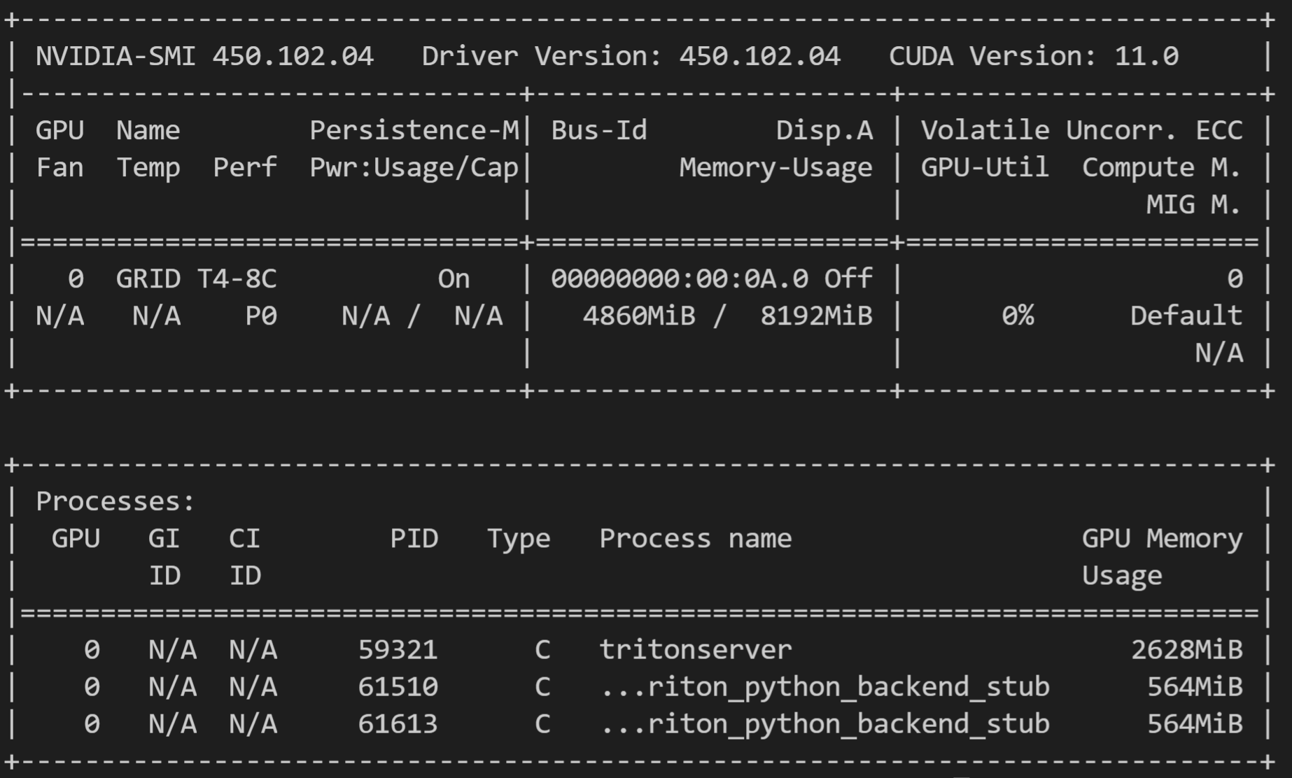 Failed to process the request(s) for model instance 'feature_extractor_0_0', message: Stub ...