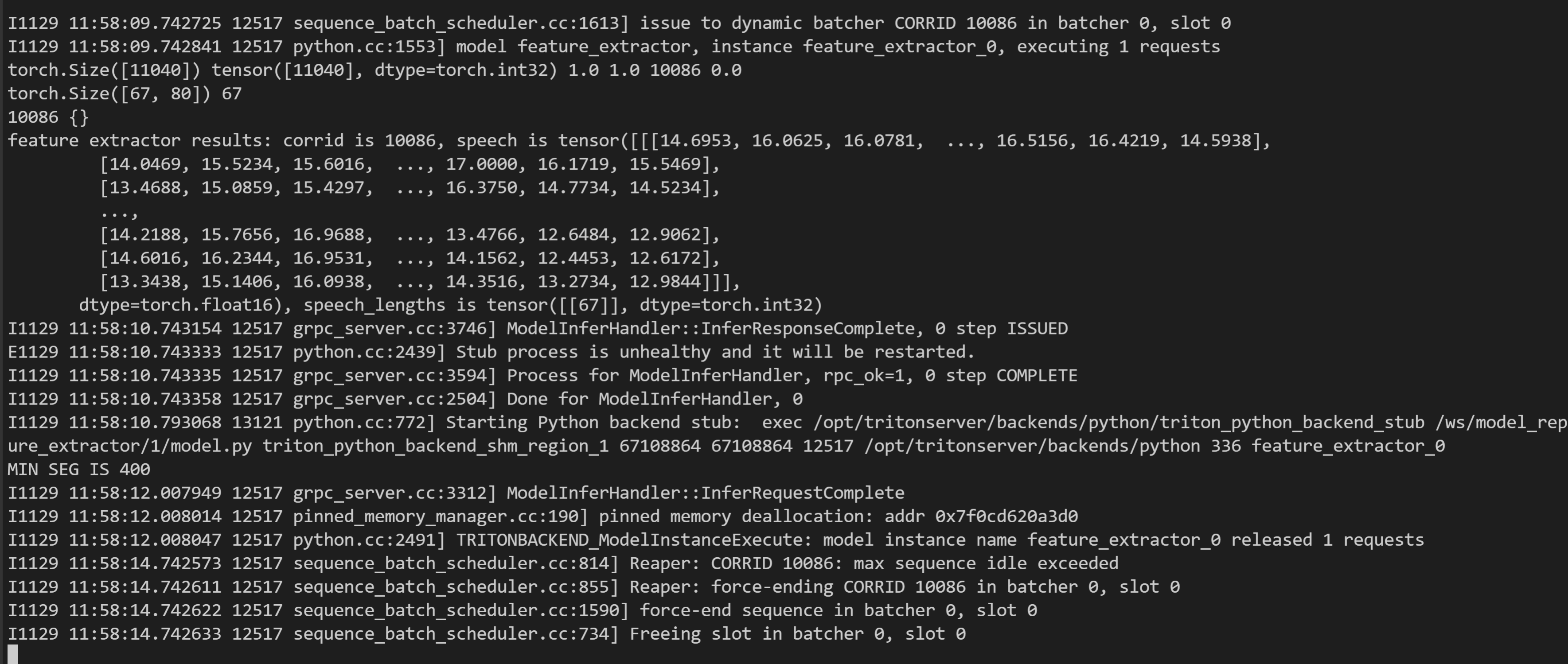 Failed to process the request(s) for model instance 'feature_extractor_0_0', message: Stub ...