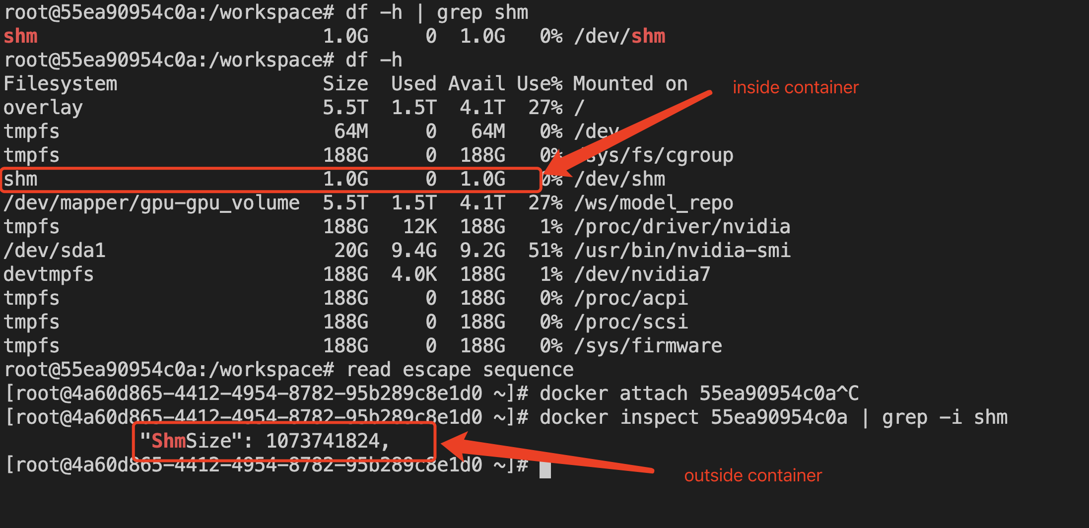 Failed to process the request(s) for model instance 'feature_extractor ...