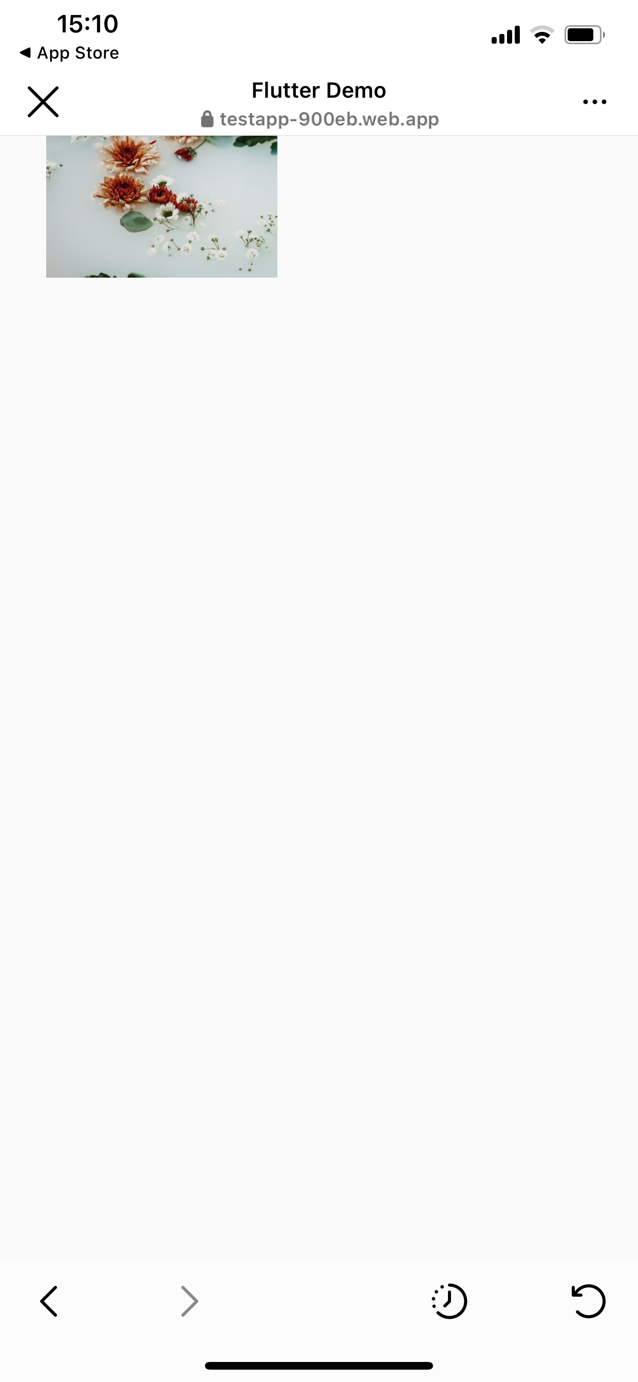 Broken Ui At Initial Open Url Through Instagram Webview · Issue 127467 · Flutterflutter · Github