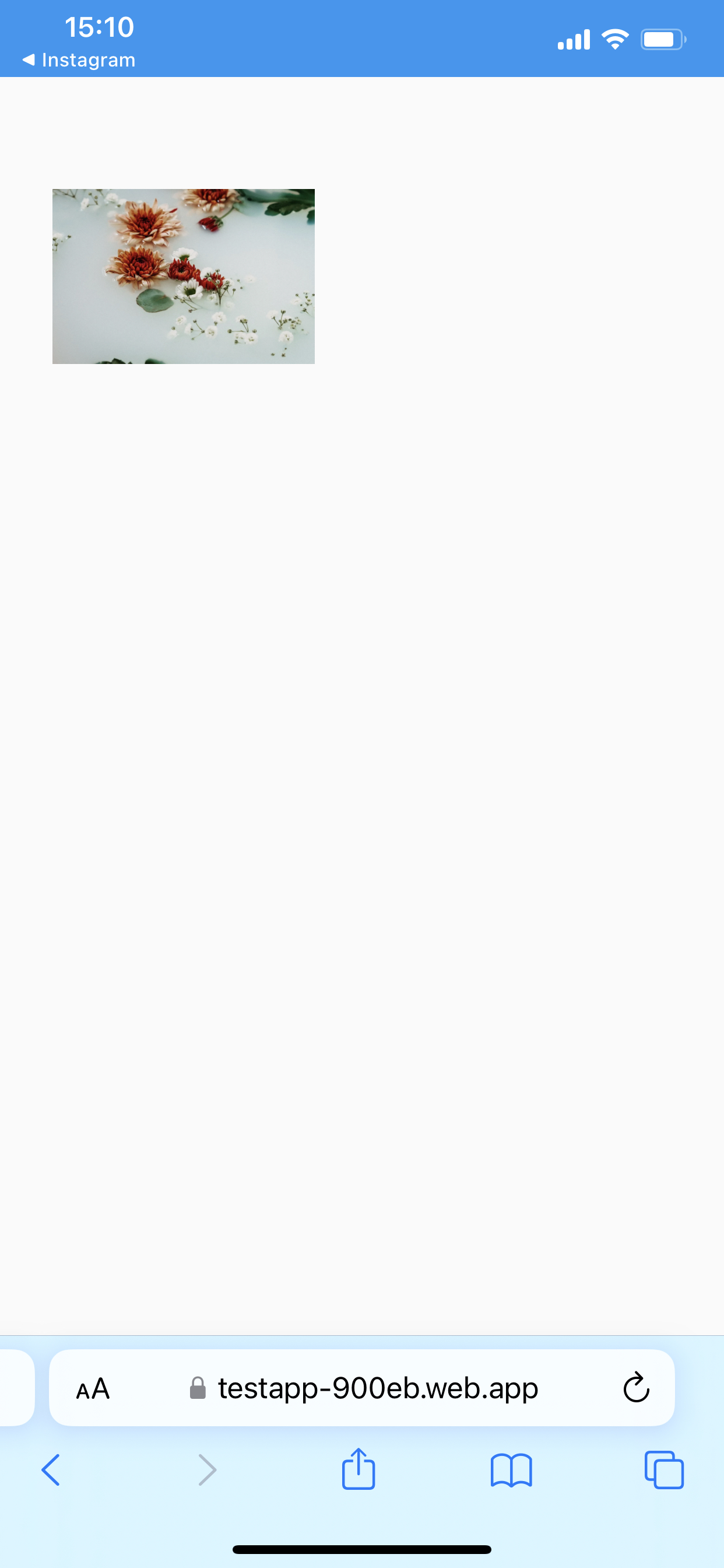 Broken UI at initial open URL through instagram webview · Issue #127467 · flutter/flutter · GitHub