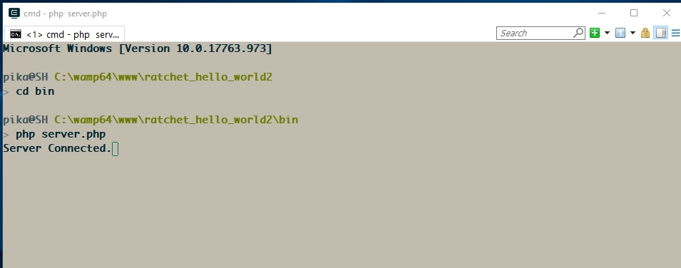 I can't get websocket connection. · Issue #798 · ratchetphp/Ratchet · GitHub
