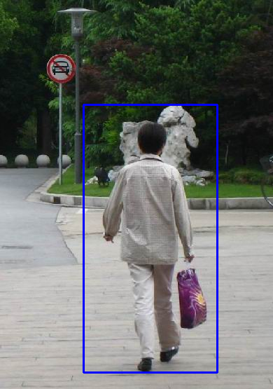 GitHub - Chirag-Bansal/Pedestrain-Detection: Detecting pedestrians from ...