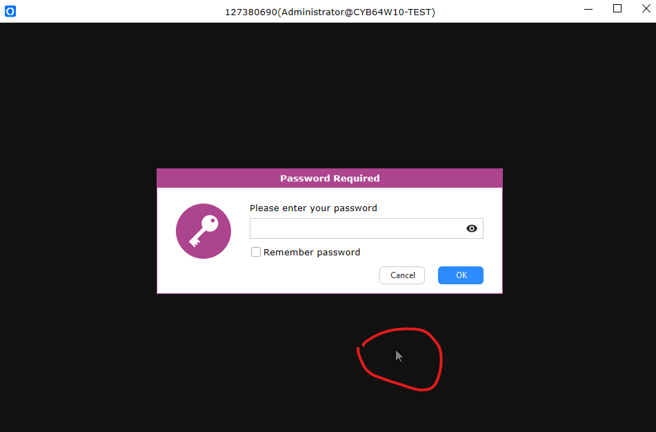 Security Connection Without Password Seeing Mouse Cursor Before Password Input · Issue 4250