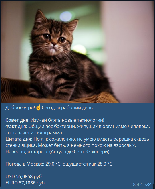 GitHub - s0rkin/telegram-bot-goodmorning
