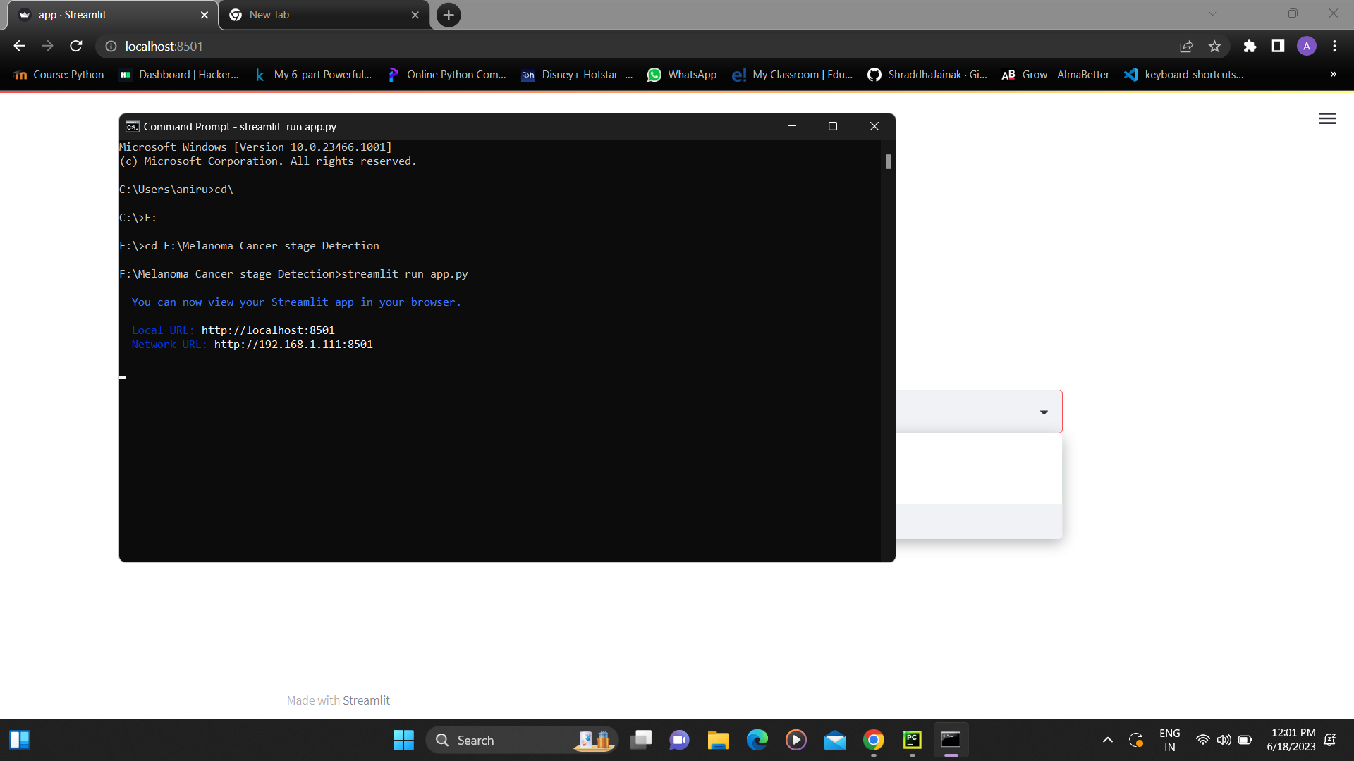 GitHub - AniruddhaChitte/Melanoma-Skin-Cancer-Stage-Detection