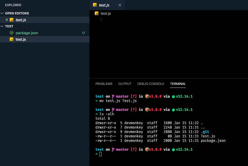 Changed file names in bash/zsh do not update in explorer sidebar, are ...