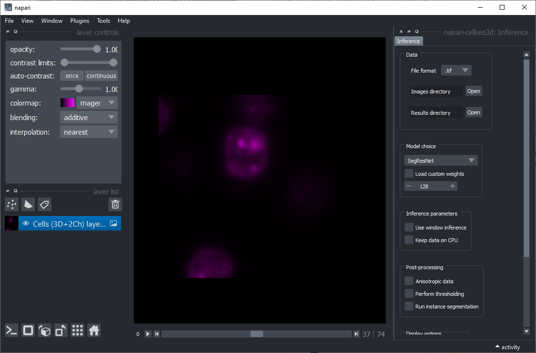 Apply inference to a single image that's already open (feature request ...