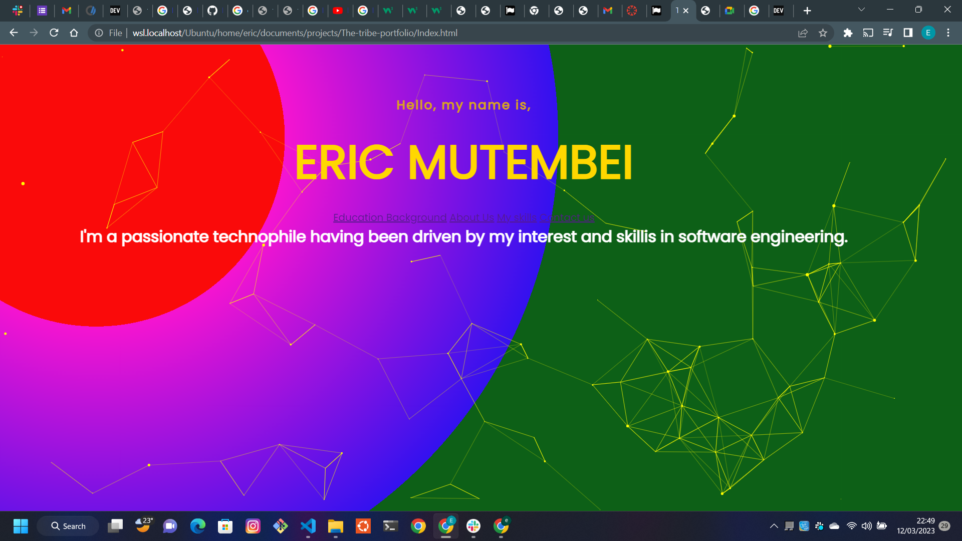 screenshots · Issue #1 · Pychangeric/The-tribe-portfolio · GitHub