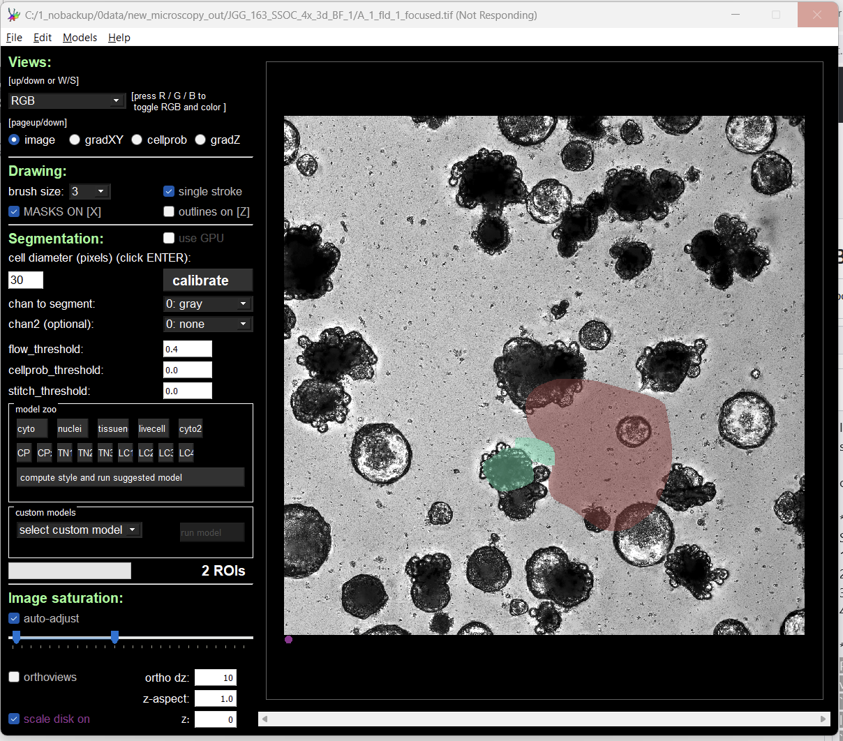 [BUG] merging cells sometimes freeezes cellpose/system · Issue #724 · MouseLand/cellpose · GitHub