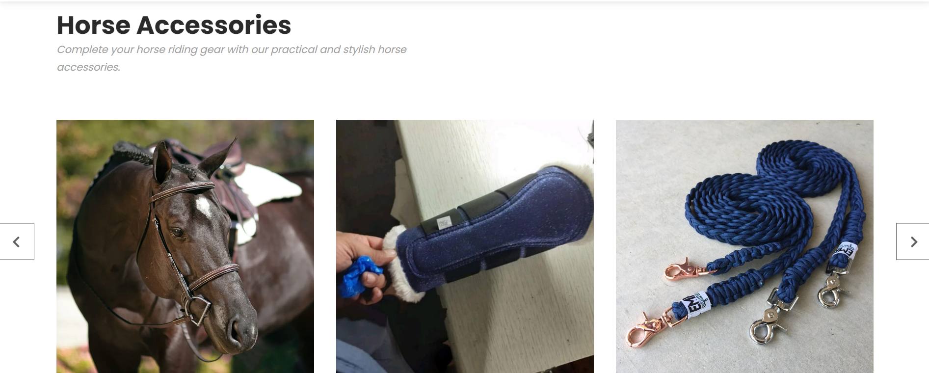 GitHub - MagCloudSolutions/Saddler-Ecommerce-Page