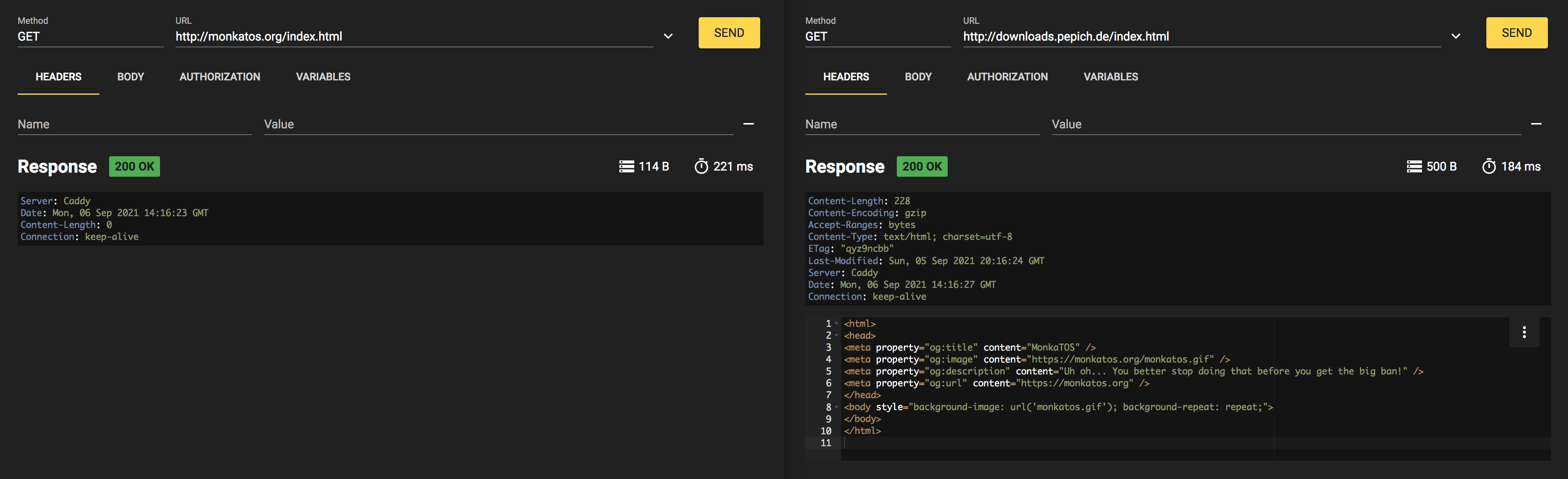 file_server directive does not work for specific domain(s?) · Issue #4334 · caddyserver/caddy ...