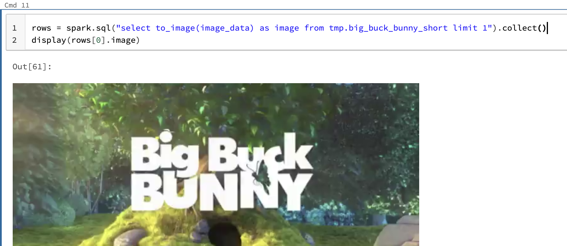 Databricks Notebook support for Image.display · Issue #357 · eto-ai/rikai · GitHub