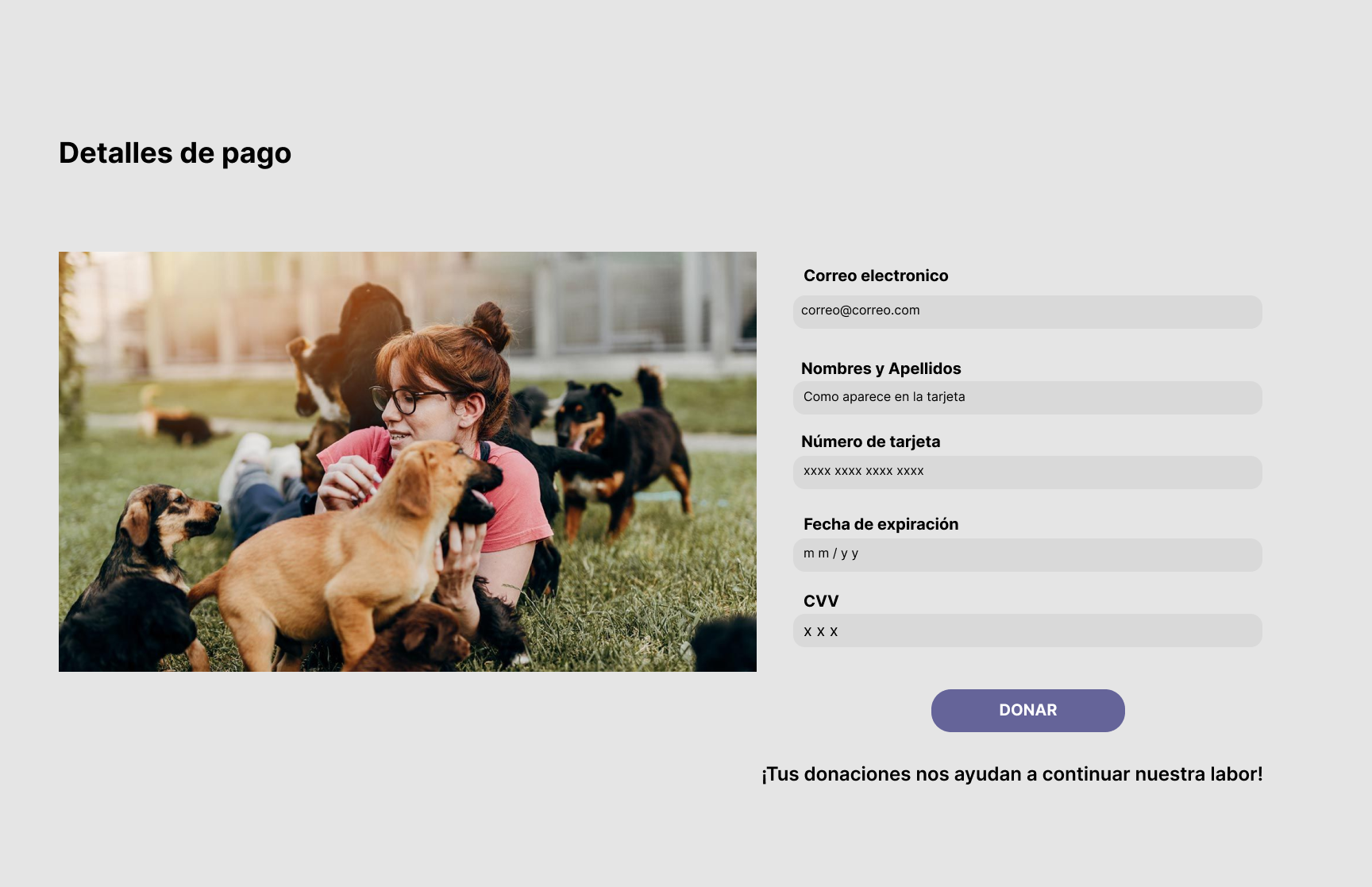 GitHub - BCAndreaC/Card-Validation-Dog-Shelter: Interfaz de Donación para Perros de la Calle ...