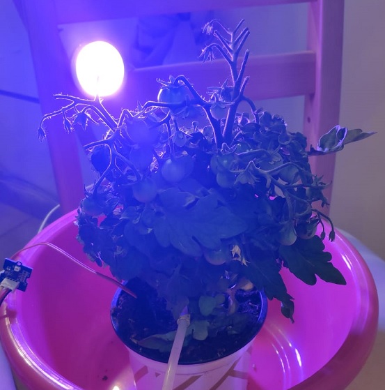 GitHub - leonben2892/PlantGrowthSystem_Embedded: Software Engineer - Final Project: Control ...