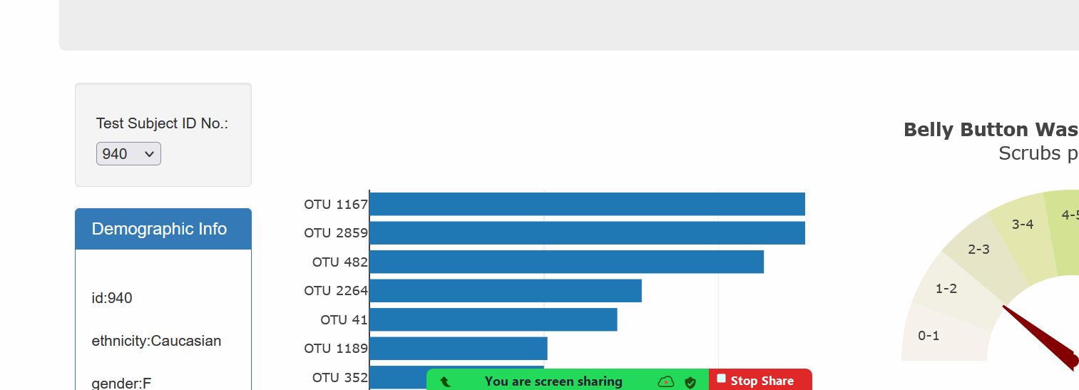 GitHub - irinaschultz/belly-button-challenge