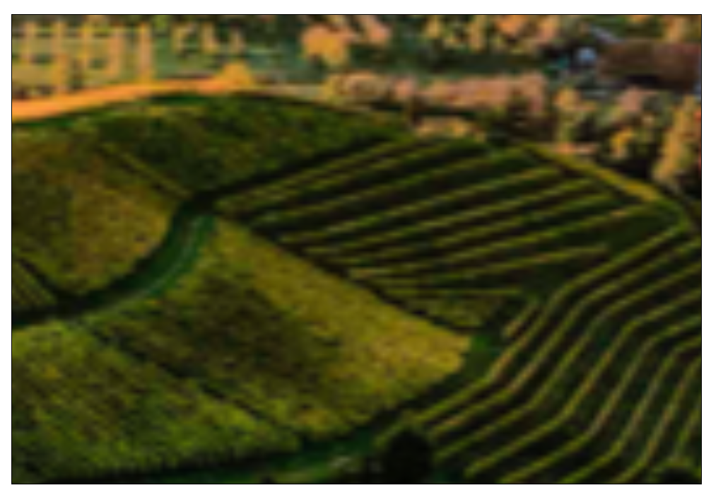 translate3d safari 放大模糊 · Issue #235 · BetterTyped/react-zoom-pan-pinch · GitHub