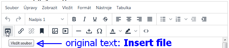 The Plugin Responsive Filemanger Issue Missing String For Translation