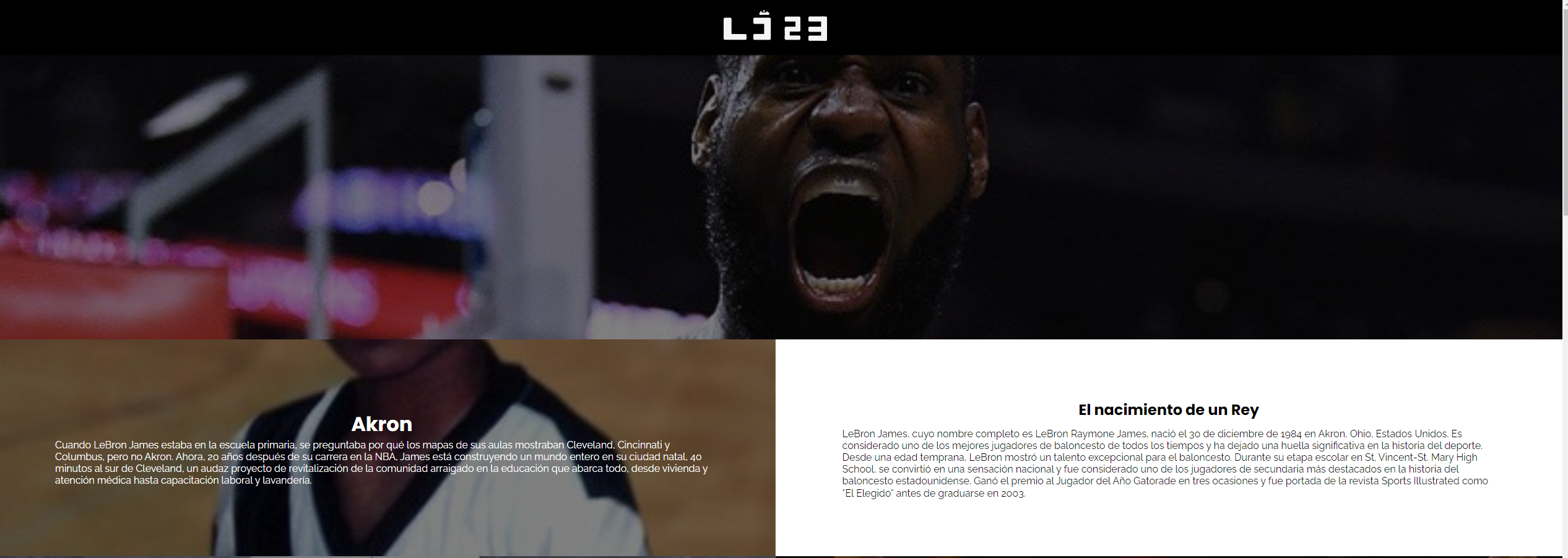 GitHub - DevBrianAcostaBenitez/Lebron_James_Tribute