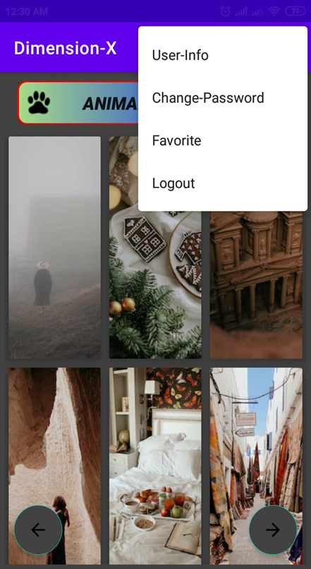 GitHub - joy07092/Dimension-X
