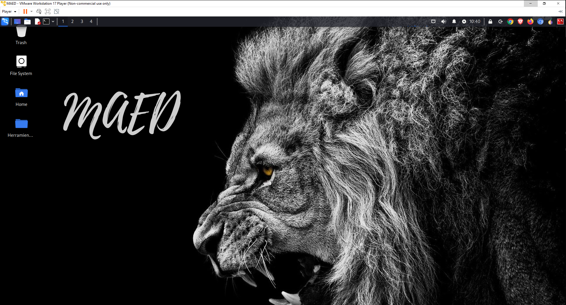 GitHub - pingu165/MAED