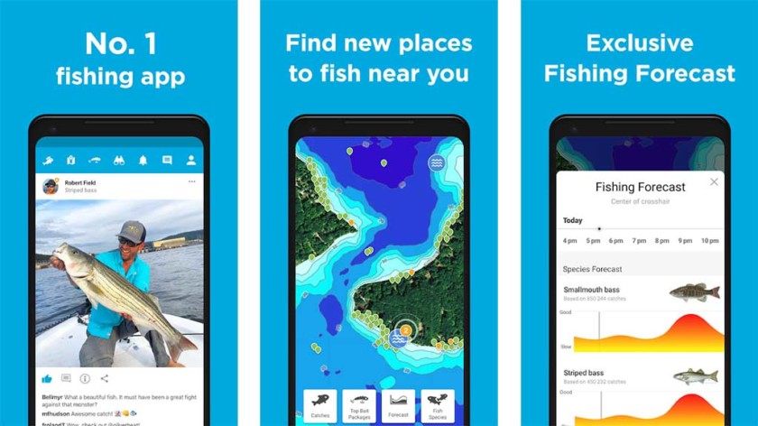 GitHub - FishBook-MCS-270/FishBook: Senior Android Development Project