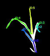 leaf overlapping and occlusion · Issue #1000 · danforthcenter/plantcv · GitHub