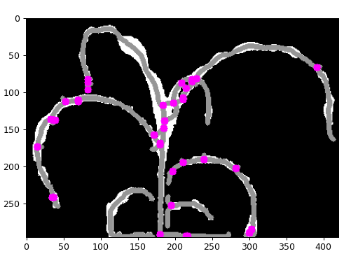 leaf overlapping and occlusion · Issue #1000 · danforthcenter/plantcv · GitHub