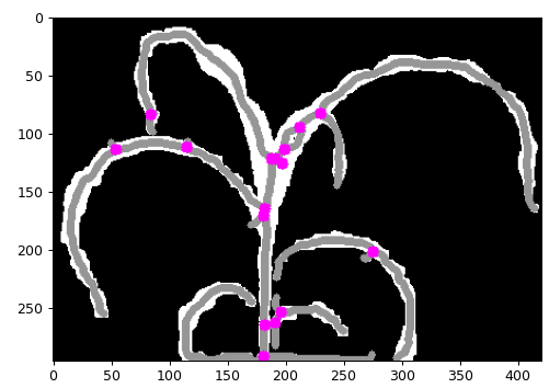 leaf overlapping and occlusion · Issue #1000 · danforthcenter/plantcv · GitHub