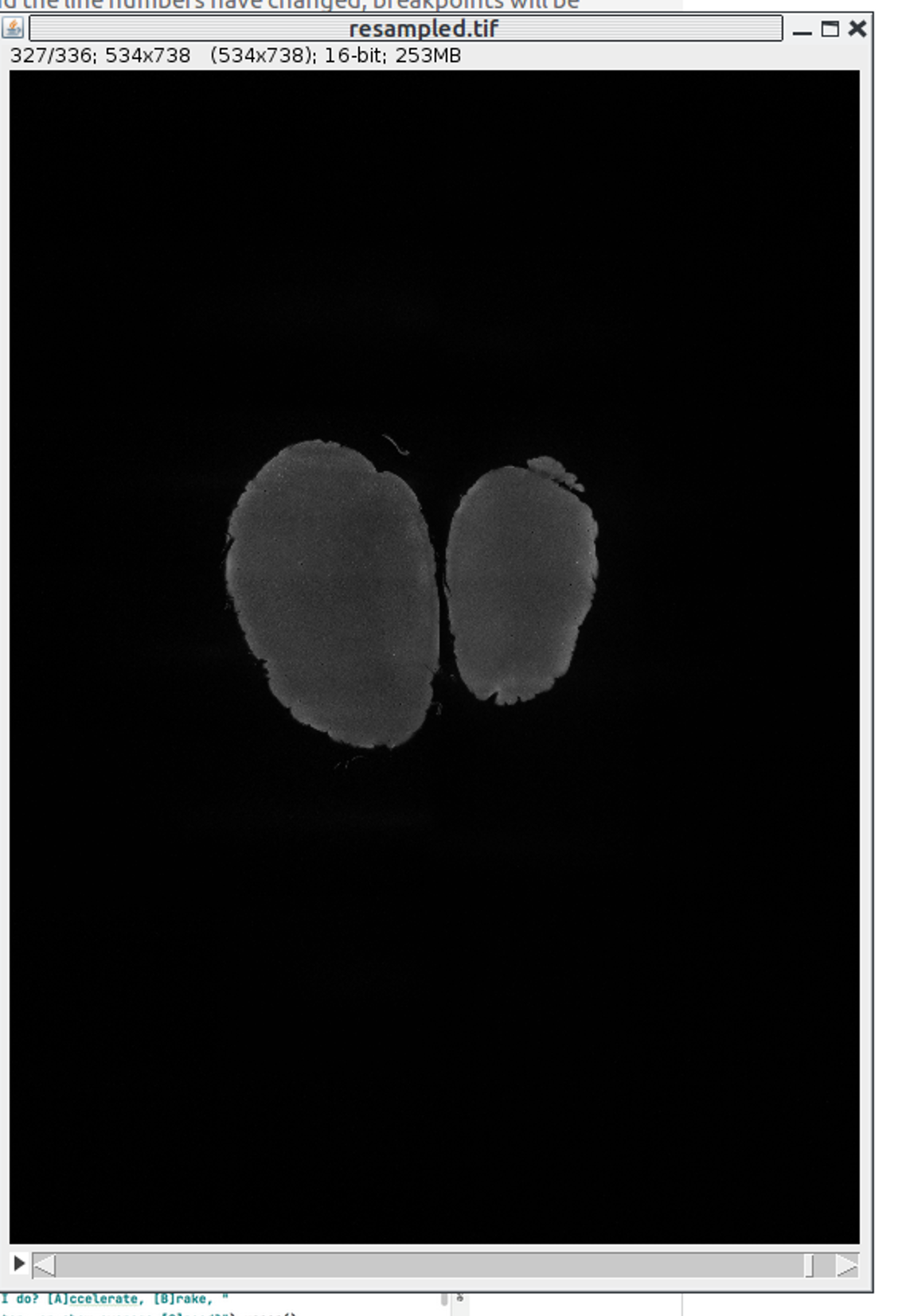 resampling/aligning issue · Issue #73 · ClearAnatomics/ClearMap · GitHub