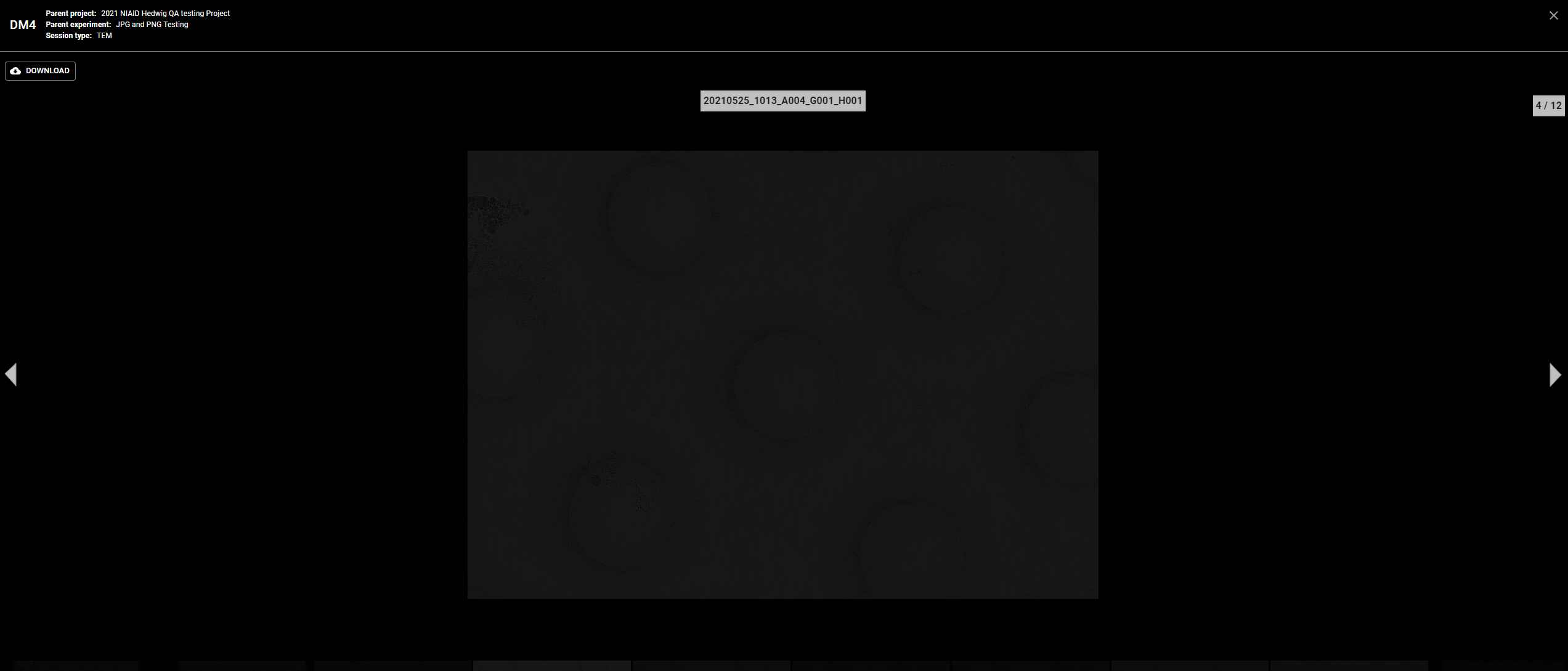 DM4 jpeg conv file looks too dark · Issue #84 · niaid/image_portal_workflows · GitHub