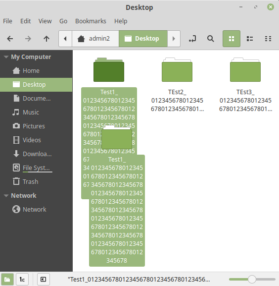 Unable to move folder with long name · Issue #2179 · linuxmint/nemo · GitHub