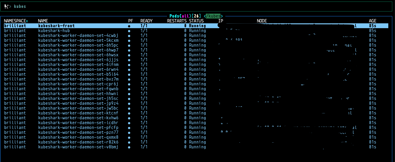 config selfnamespace directive isn't working as expected and kubeshark tap -n "namespace ...