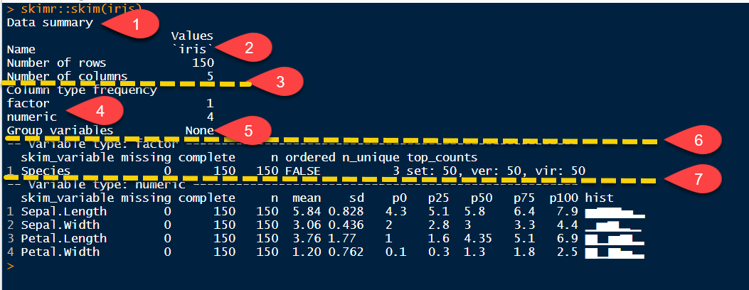 Print methods and distorted formatting of `skim()` output · Issue #408 ...