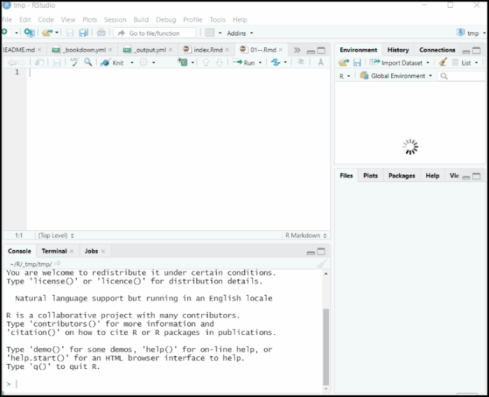 Empty Rmd file freezes RStudio 1.4 in Bookdown project · Issue #8453 · rstudio/rstudio · GitHub