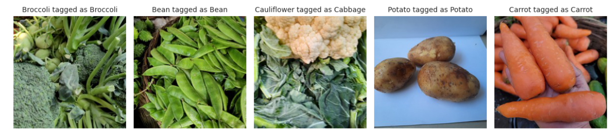 GitHub - aditya0929/Vegetable-Image-Classification: classifying ...