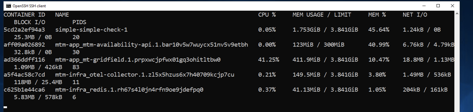 Simple 7 Api Is Using More Than 1 5gigs Of Memory For Apple Mac Mini Arm 64 Processor