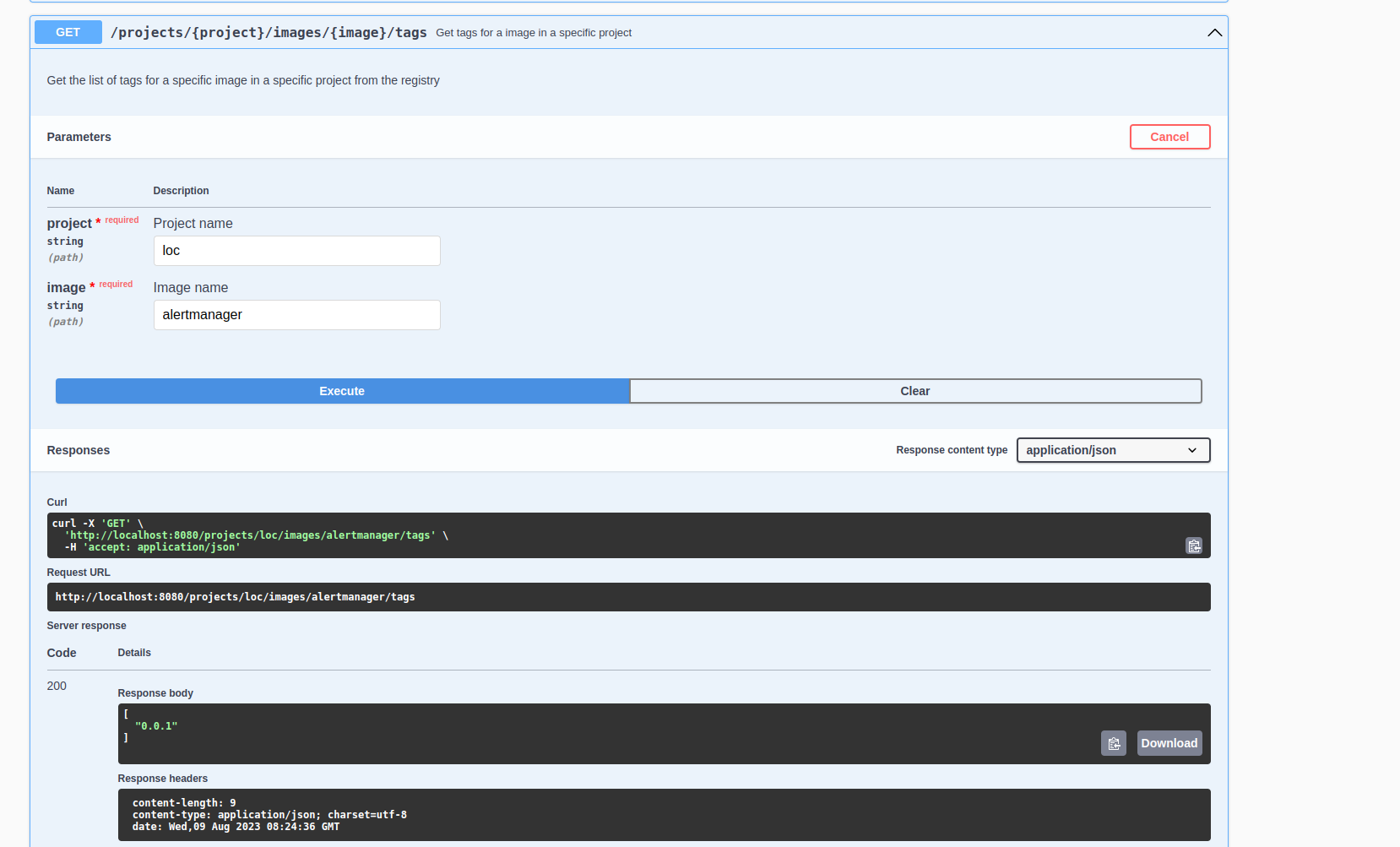 URL param starting with 'adv' results in Failed to fetch error · Issue #1643 · swaggo/swag · GitHub