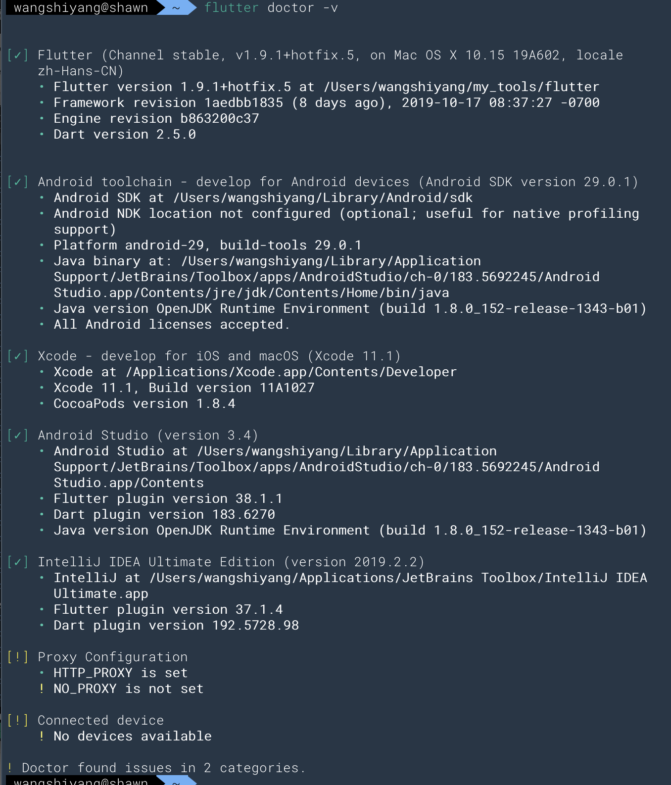 flutter doctor error · Issue #43237 · flutter/flutter · GitHub