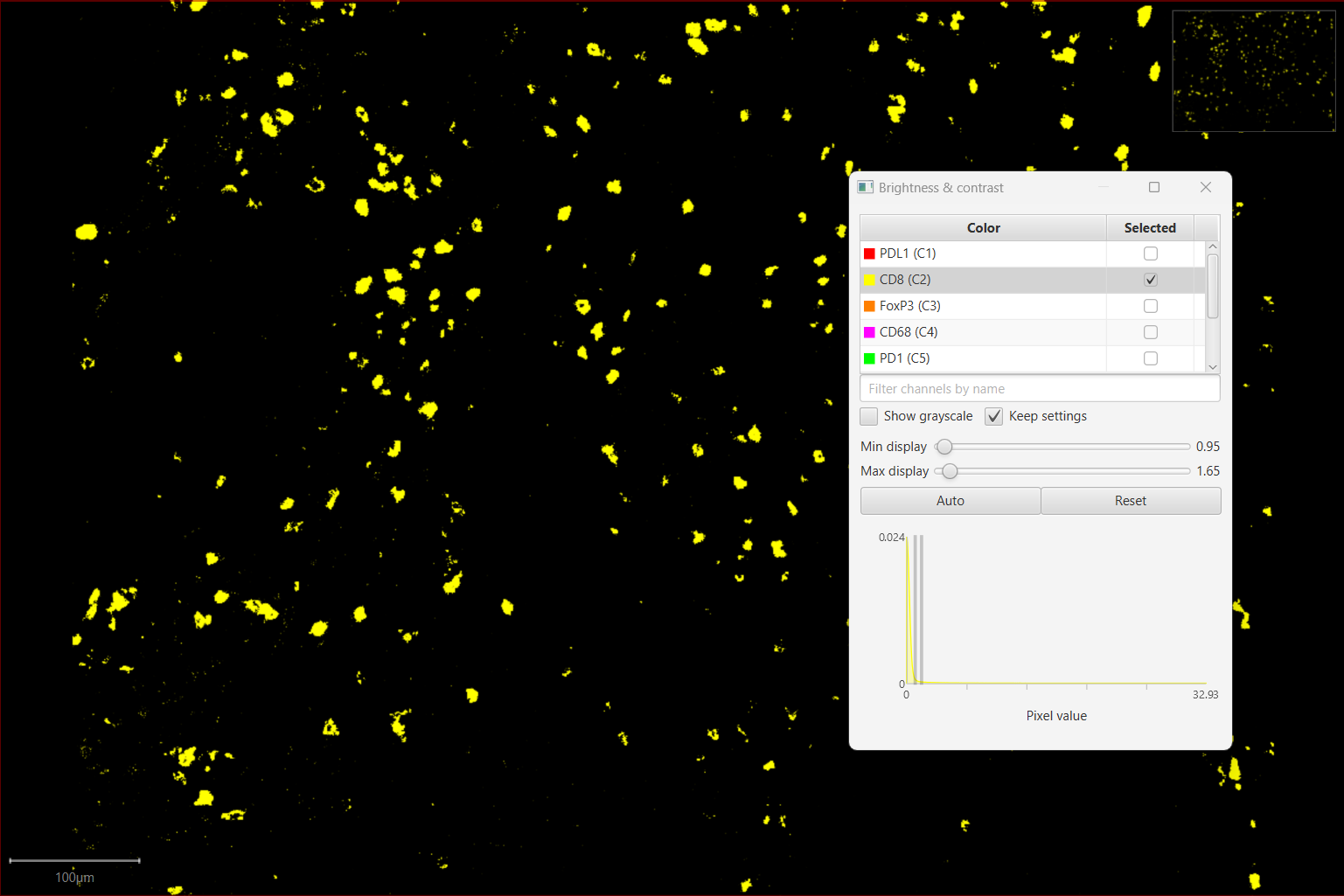 Github Gico1941qupath Image Quantification Pipeline A Pipeline For Immune Fluorescence Image