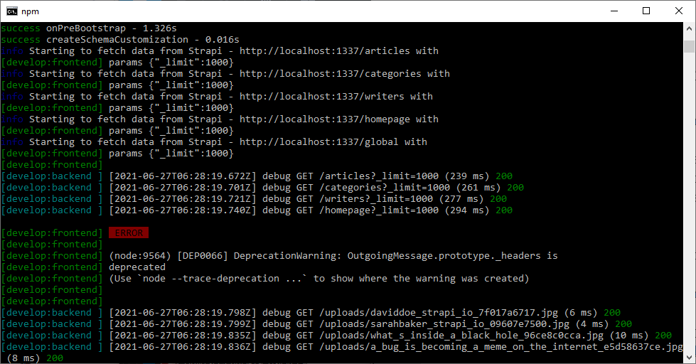 create-strapi-starter - errors on terminal, does not install on this basic getting started step ...
