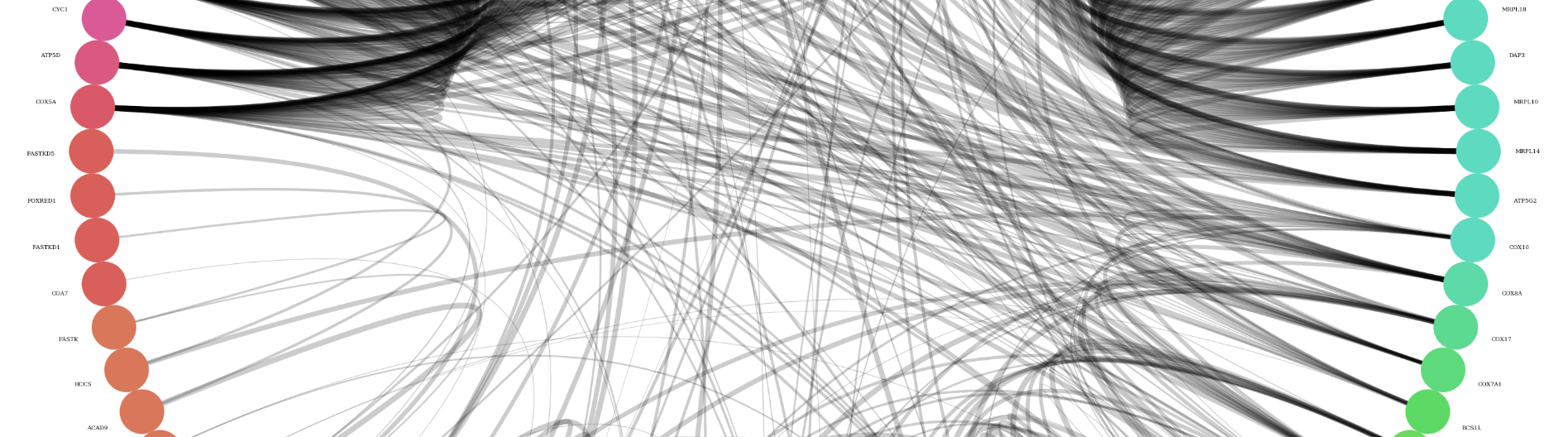 GitHub - programweb/network-data_chord-diagram_api: Using web services to a remote API construct ...