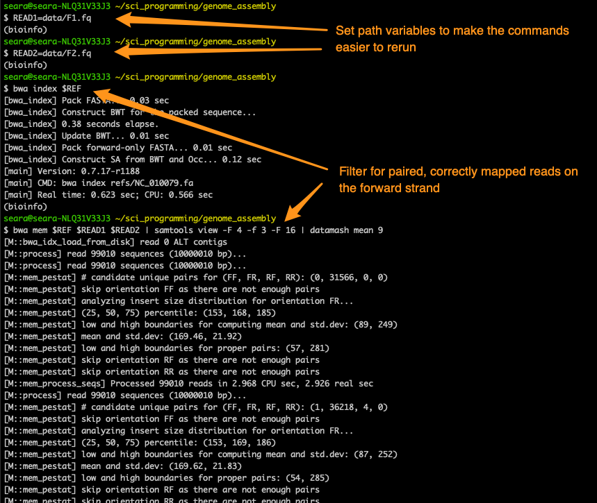 GitHub - programweb/sequence_assembly