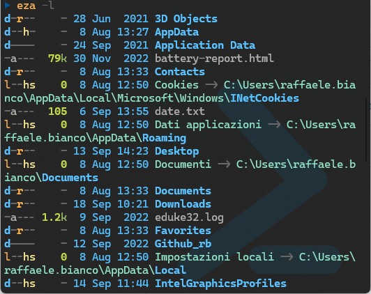feat: truncate lines to terminal width when using -l and -1 switches · Issue #372 · eza ...
